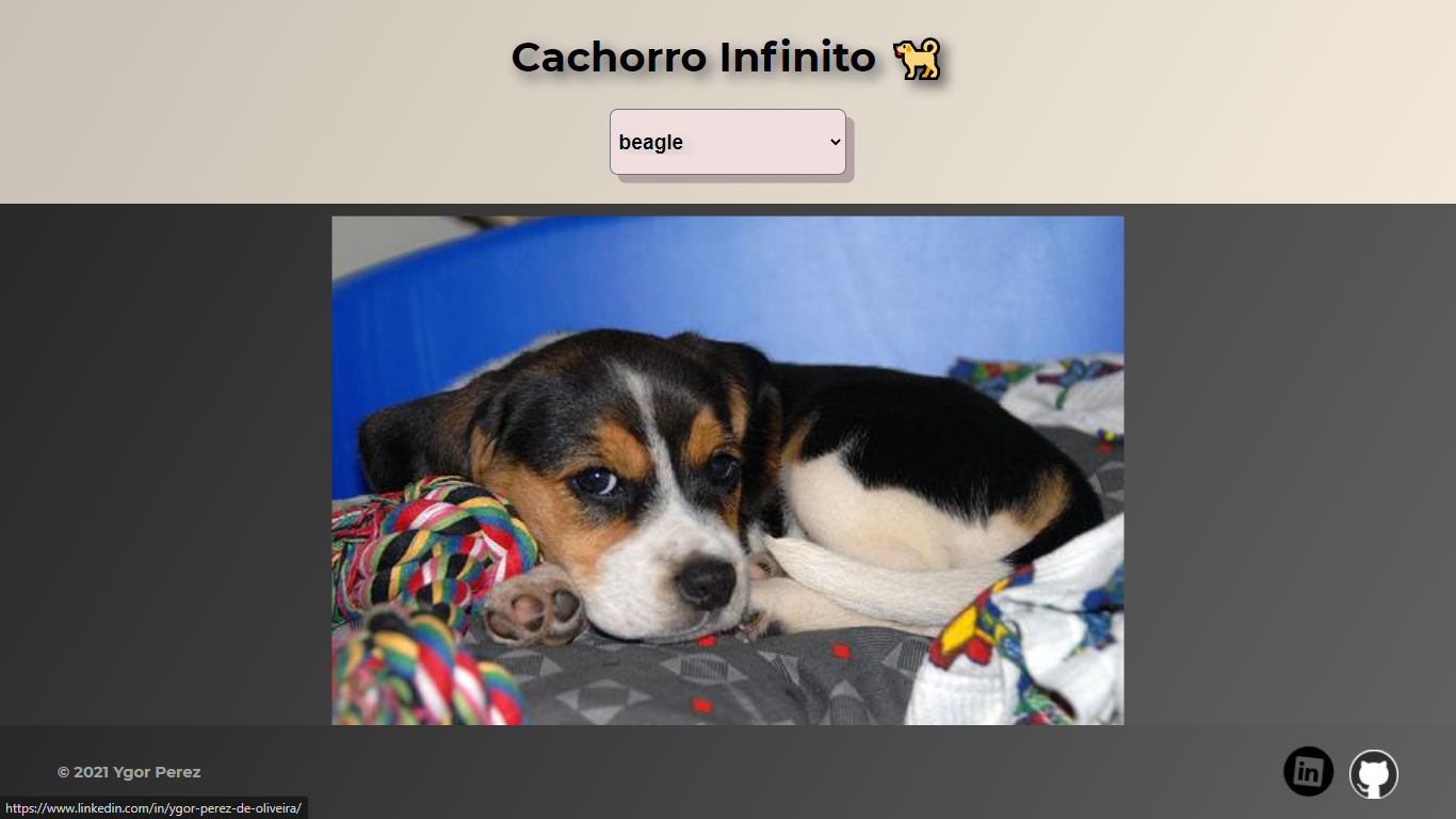 Cachorro Infinito
